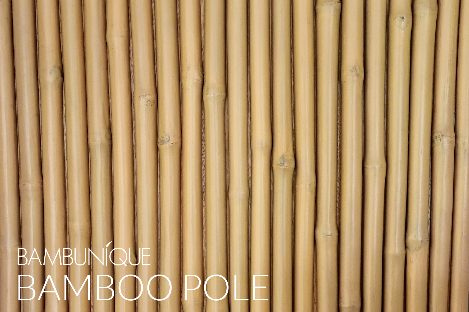 Bamboo Pole – Bambunique